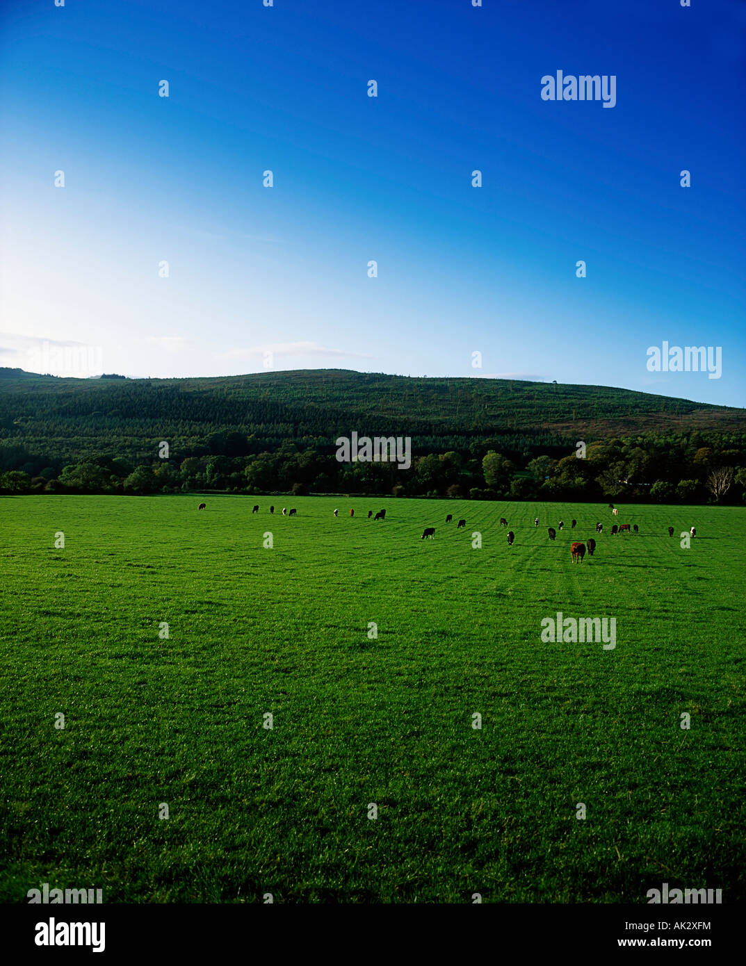 Kilsheelan hi-res stock photography and images - Alamy