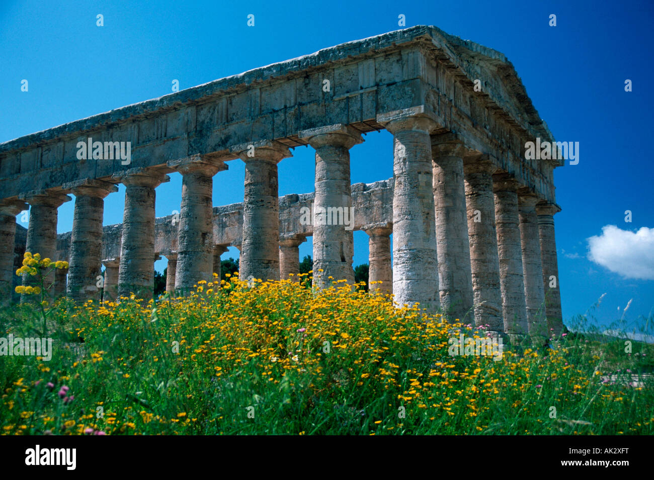 Greek temple, Segesta Stock Photo - Alamy
