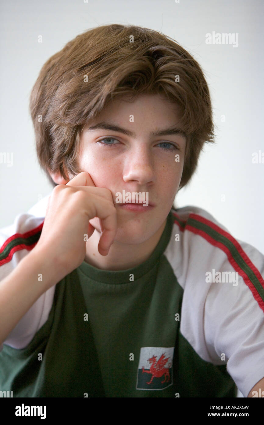 Portrait of a schoolboy Stock Photo - Alamy