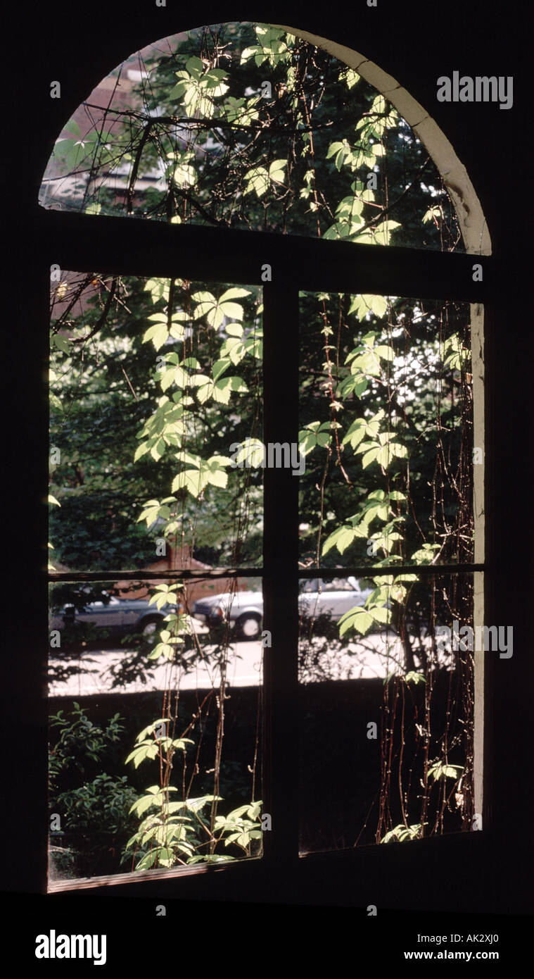 window scene with spring leaves Stock Photo - Alamy
