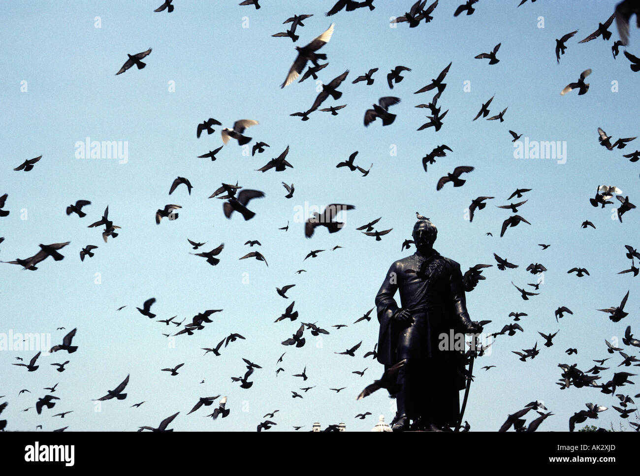 Statue pigeons flying hi-res stock photography and images - Alamy