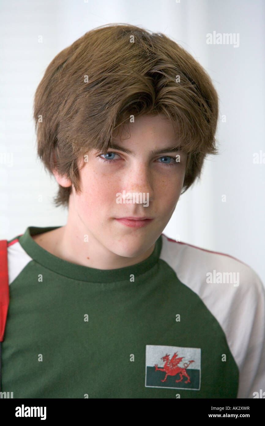 Portrait of a schoolboy Stock Photo - Alamy