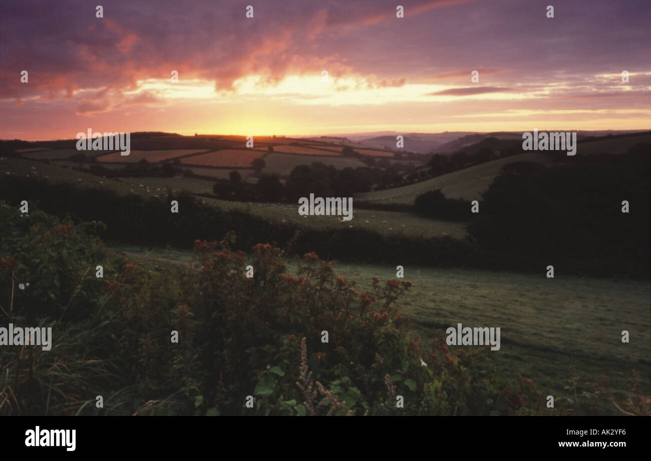 Holbeton devon hi-res stock photography and images - Alamy