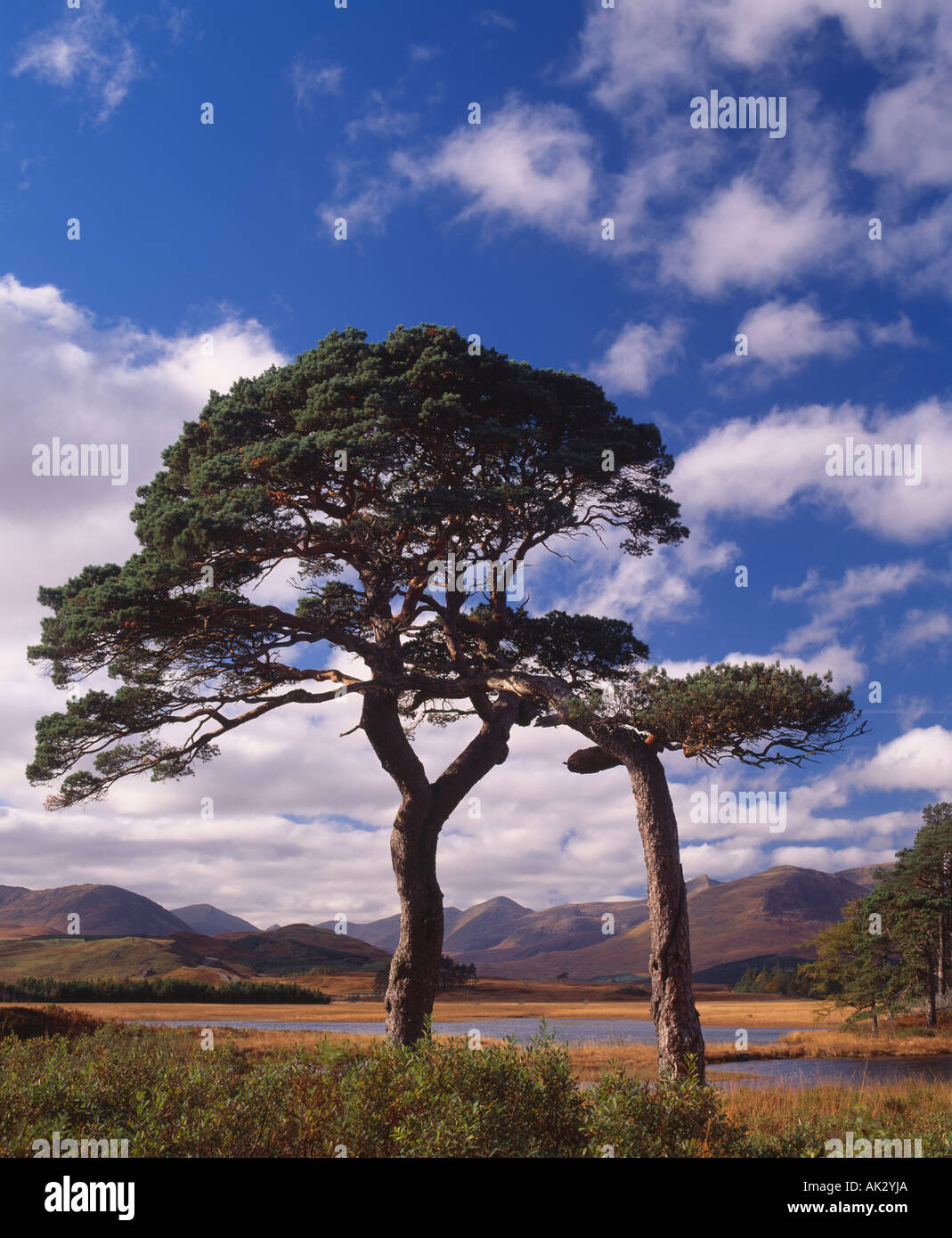 Lochan lodge hi-res stock photography and images - Alamy