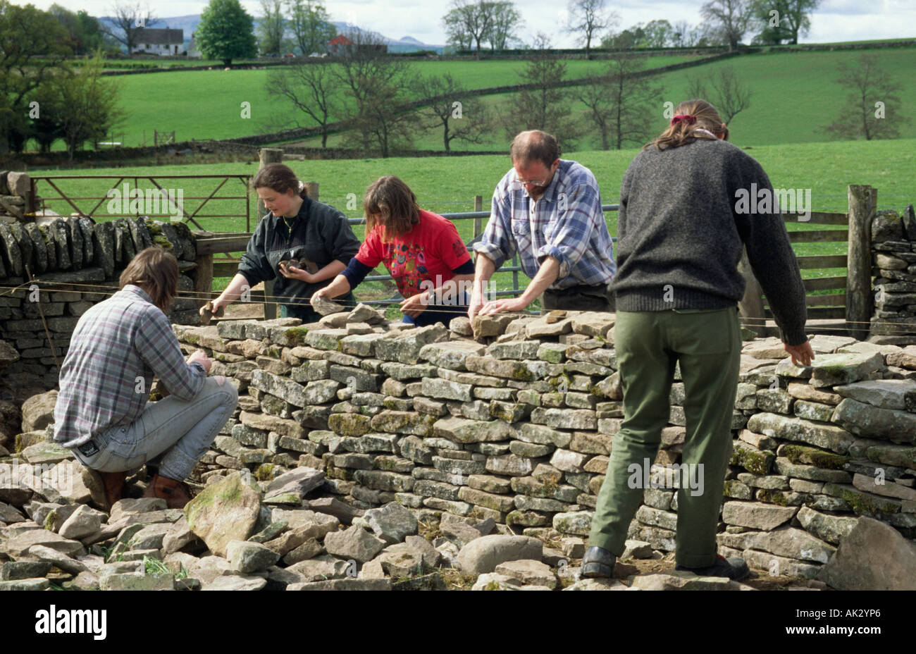 Conservation volunteers learning the art of dry stone walling Stock ...