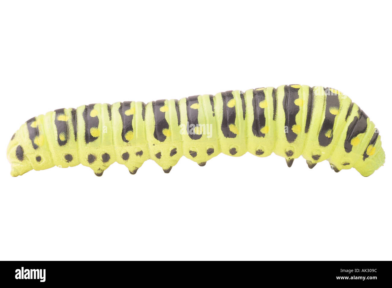 Monarch butterfly larvae caterpillar Cut Out Stock Images & Pictures ...