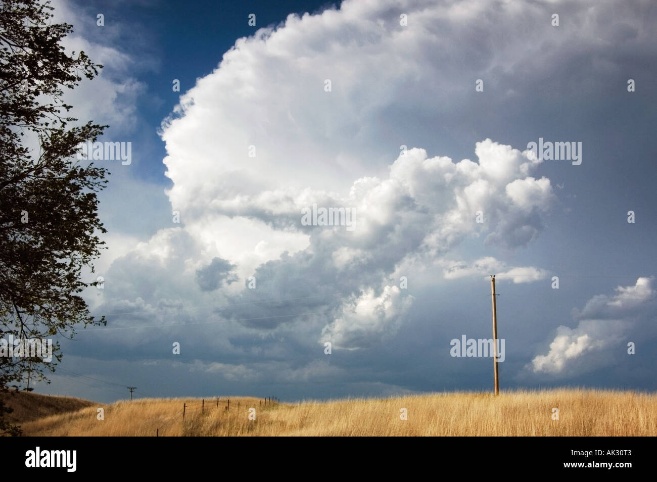Storm cloud over Nebraska field Stock Photo - Alamy