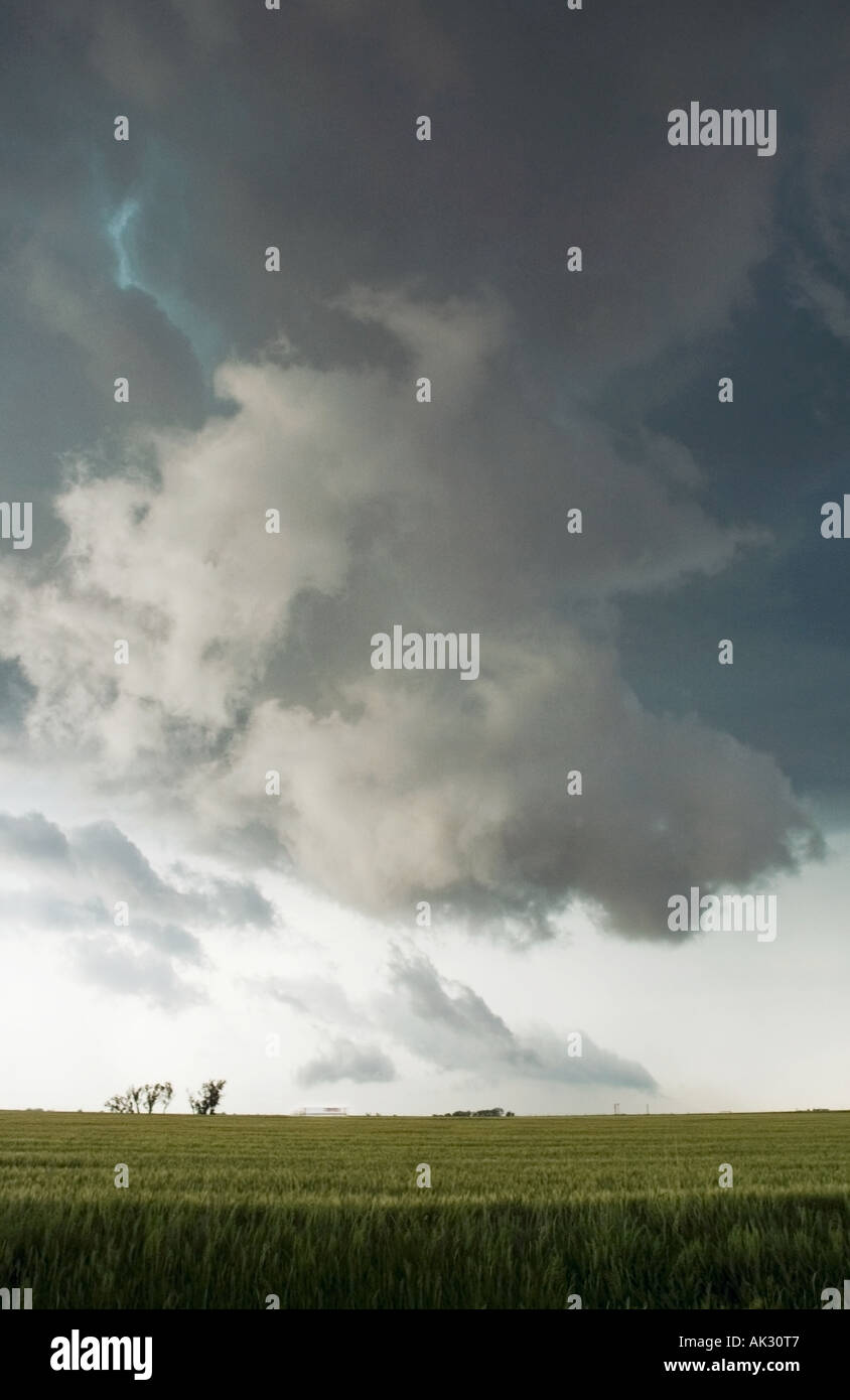 Kansas tornadic severe storm on prairie showing power of nature to ...