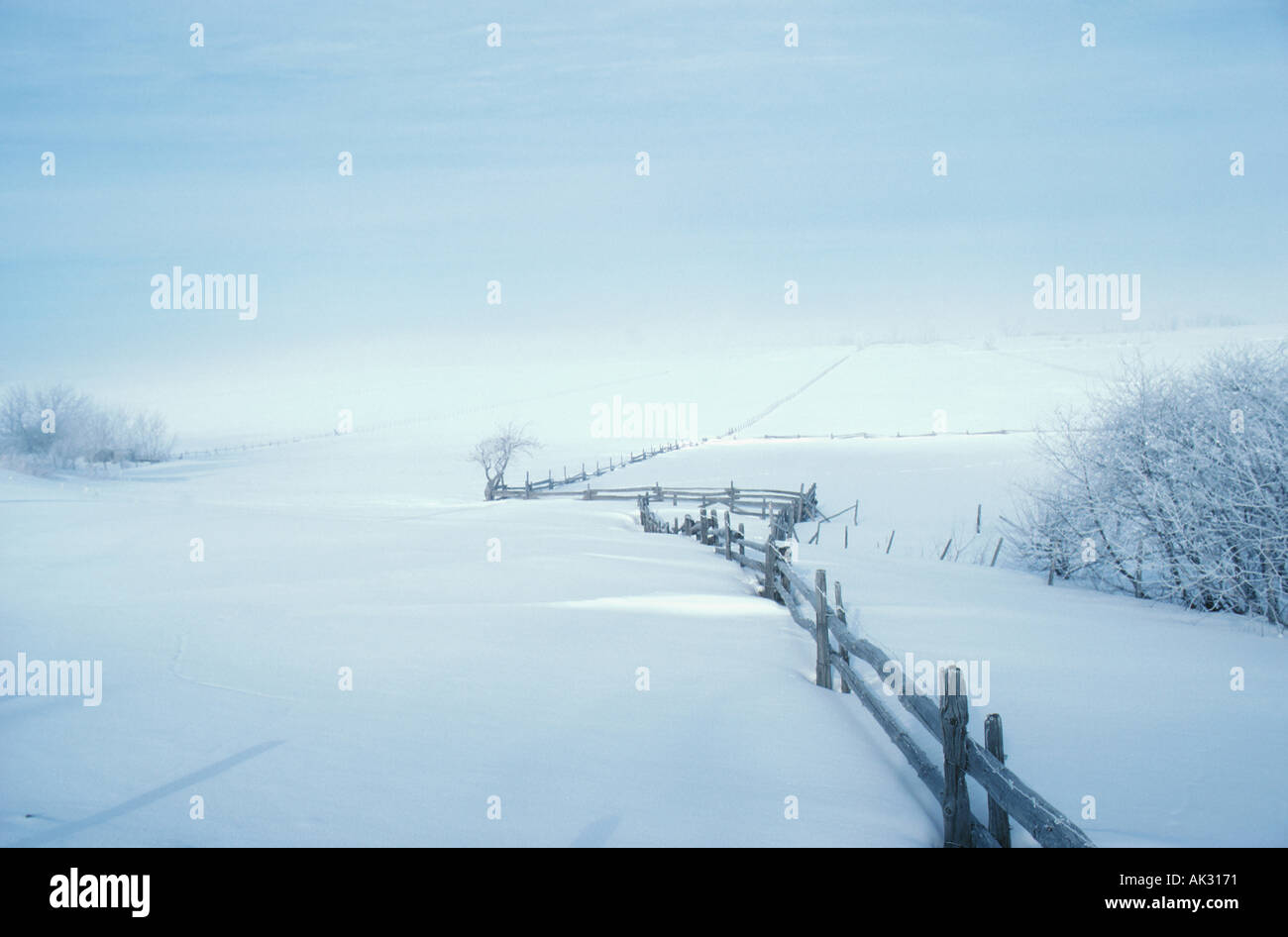 Bois francs hi-res stock photography and images - Alamy