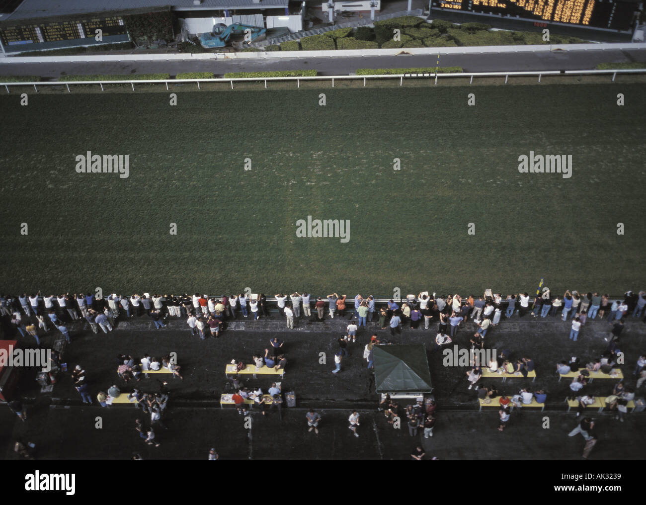 Aerial view of horse track Stock Photo - Alamy