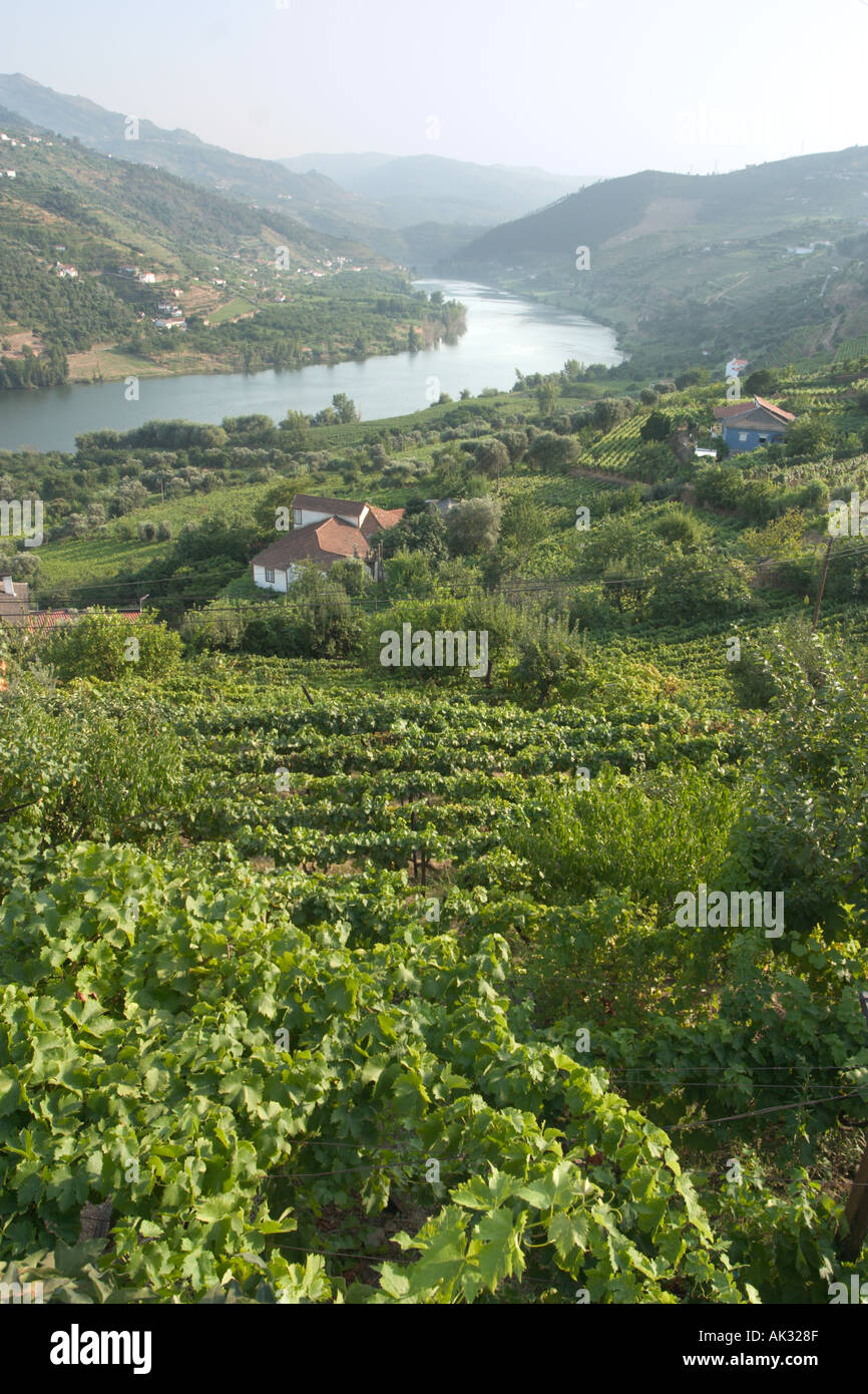 Valley of douro hi-res stock photography and images - Alamy
