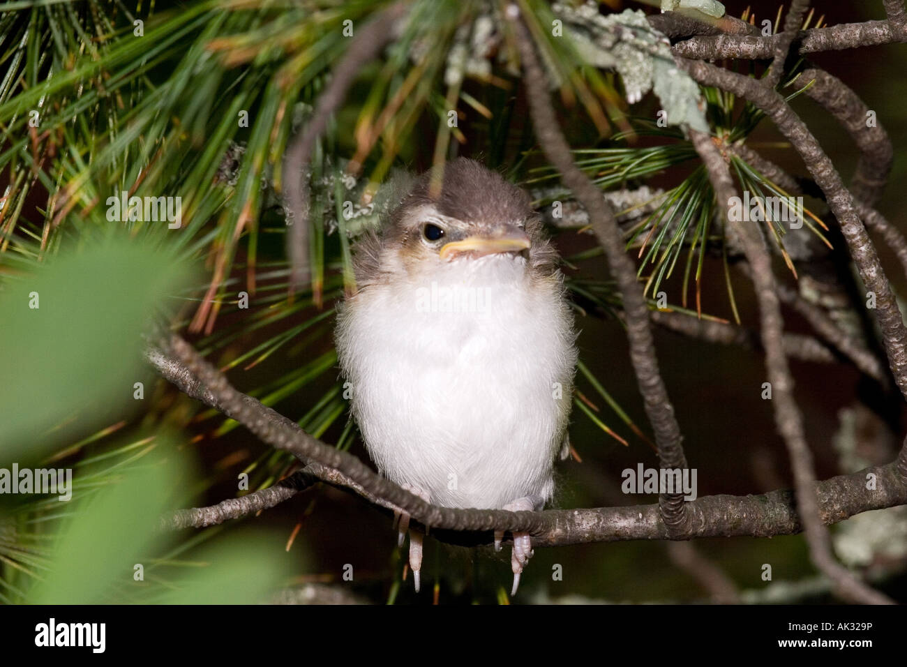 Time to leave Stock Photo - Alamy
