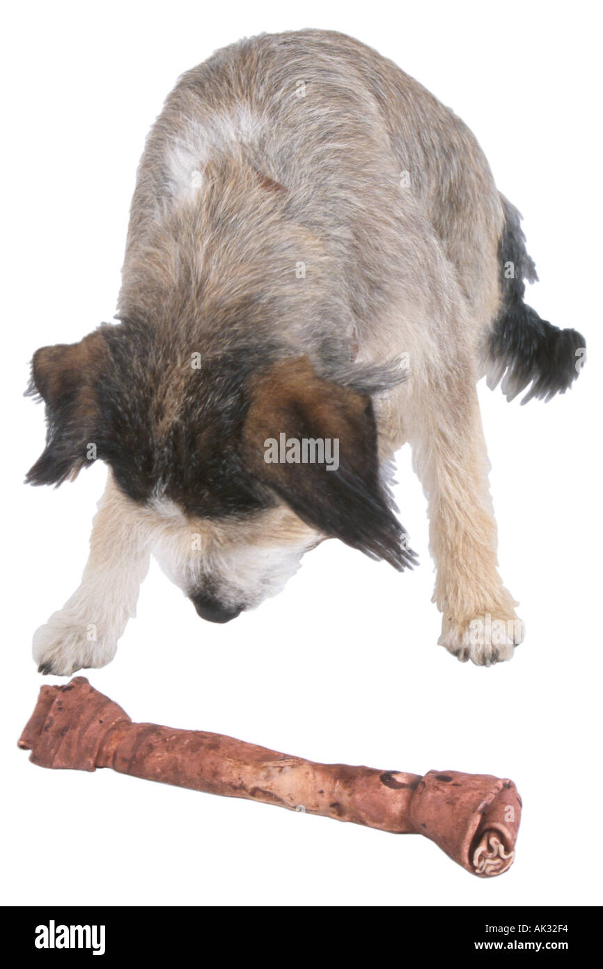 1432605 hi-res stock photography and images - Alamy