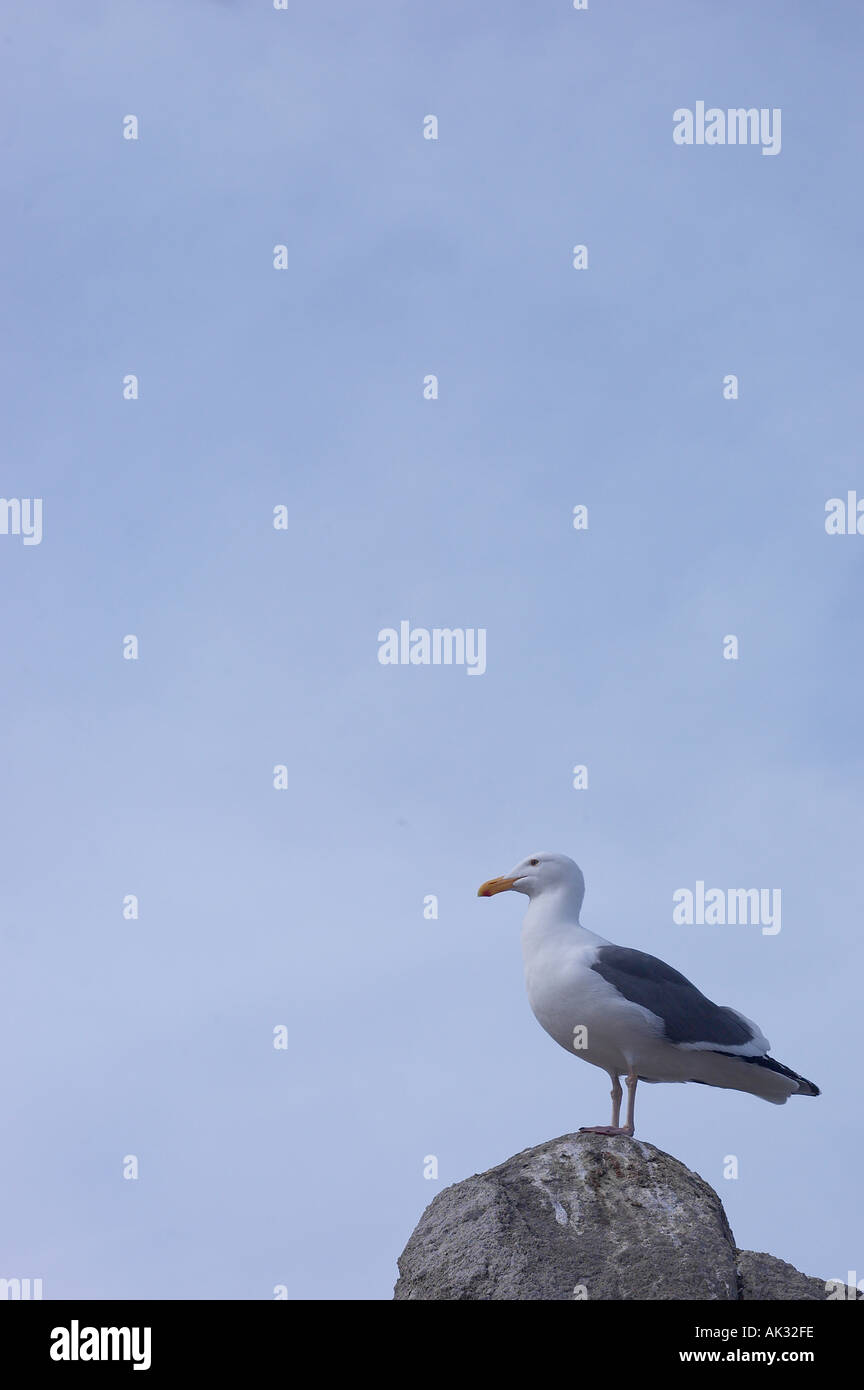 Singular rock hi-res stock photography and images - Alamy