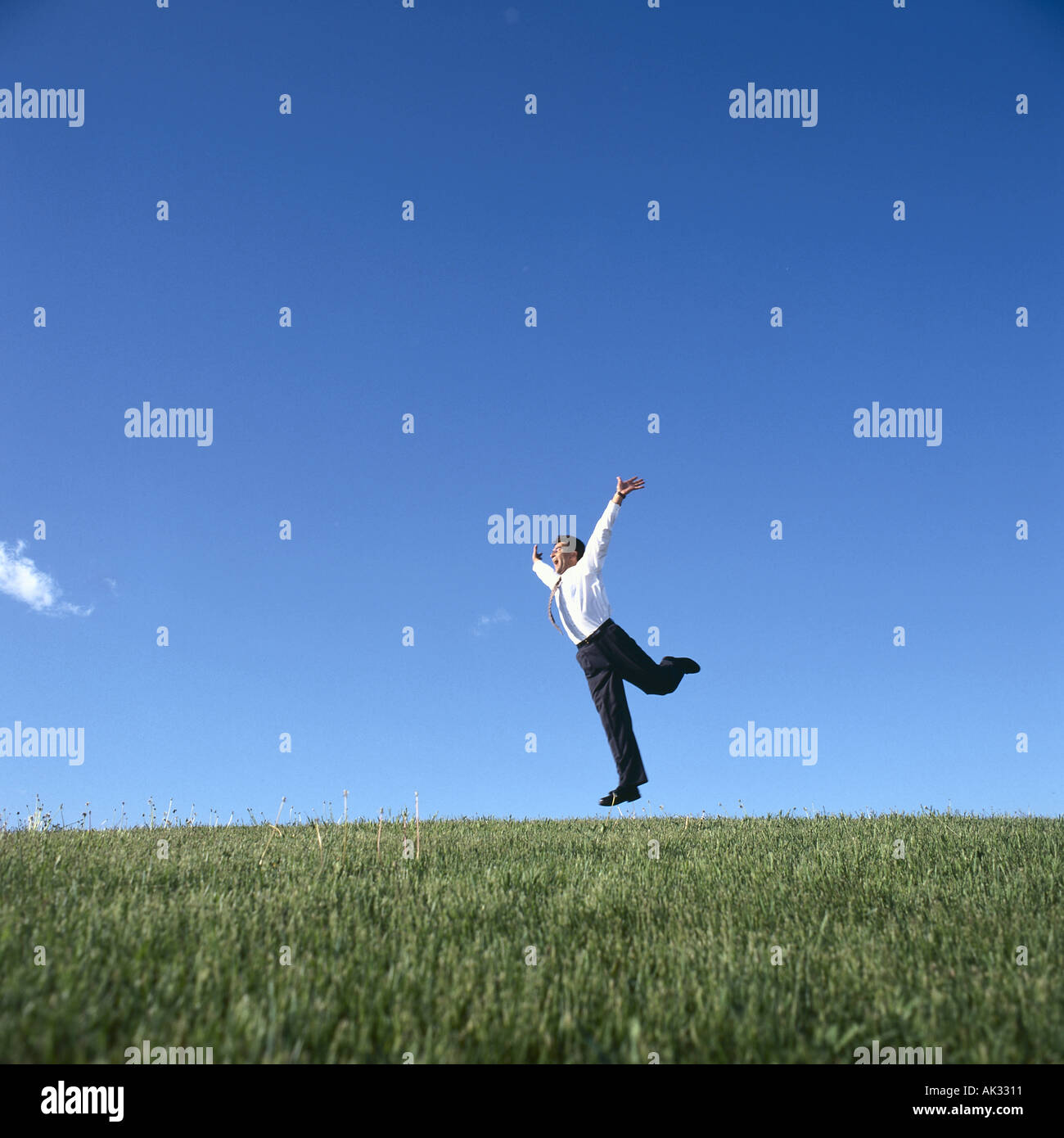 Leaping grasses hi-res stock photography and images - Alamy