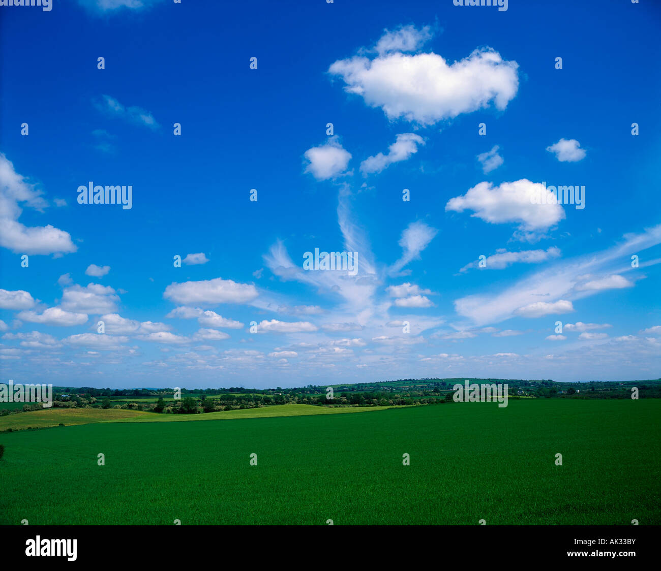 County Kildare, Ireland Stock Photo - Alamy