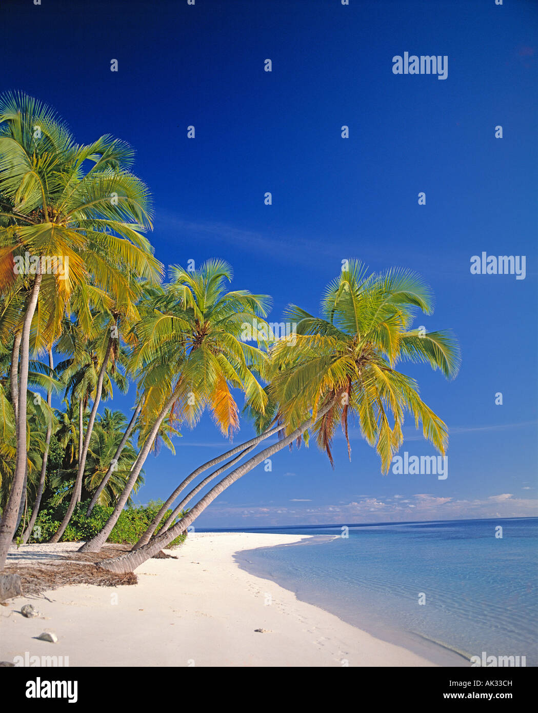 Ihuru island maldives hi-res stock photography and images - Alamy