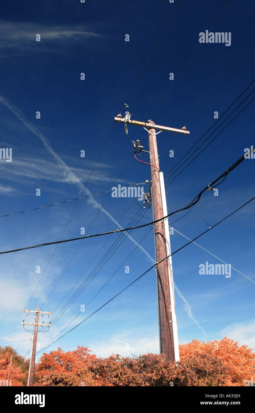 Telephone poles in Autumn Stock Photo - Alamy