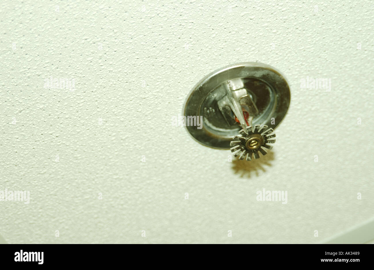 Sprinkler system in white ceiling Stock Photo - Alamy