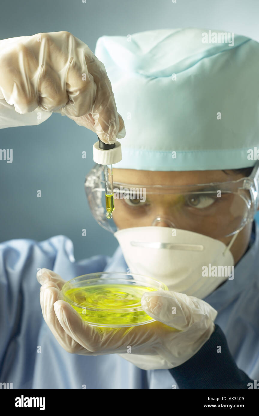 Scientist dropping yellow liquid into Petri dish 1 Stock Photo - Alamy