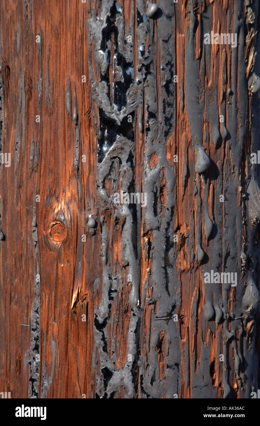 Urban texture and detail in a city Stock Photo - Alamy