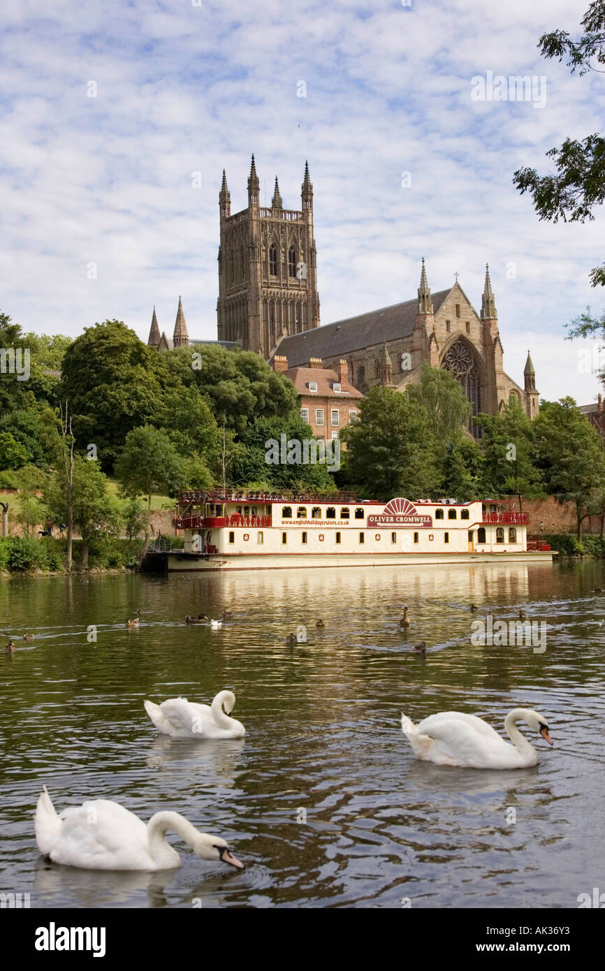 Worcester urban wildlife hi-res stock photography and images - Alamy