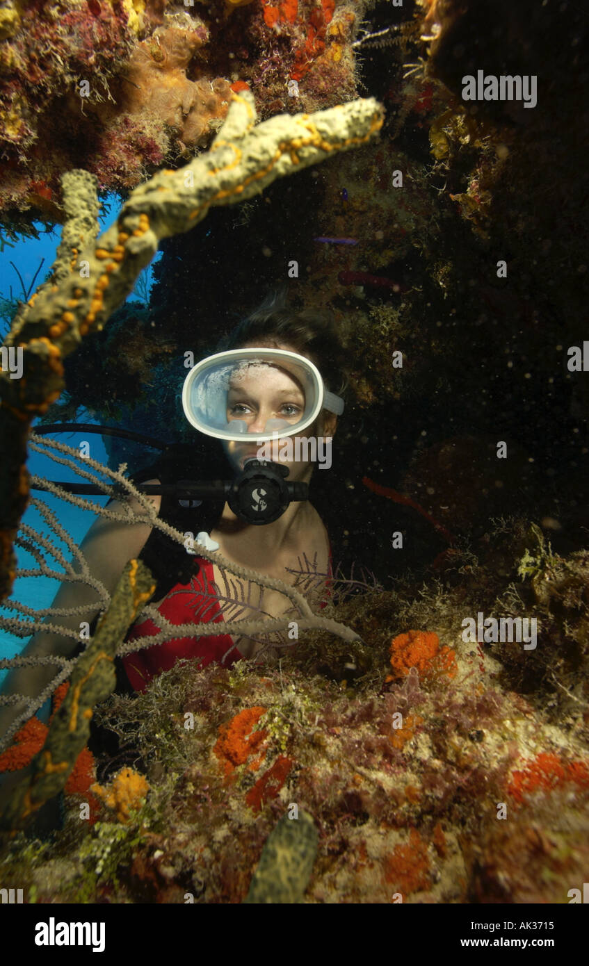 Woman scuba diver in coral niche Shark Reef near Bimini Stock Photo - Alamy