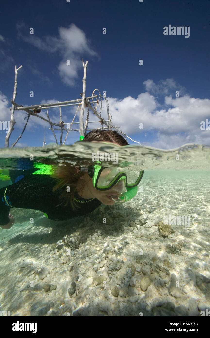 Under over views in shallow water at Toau Atoll French Polynesia Stock ...