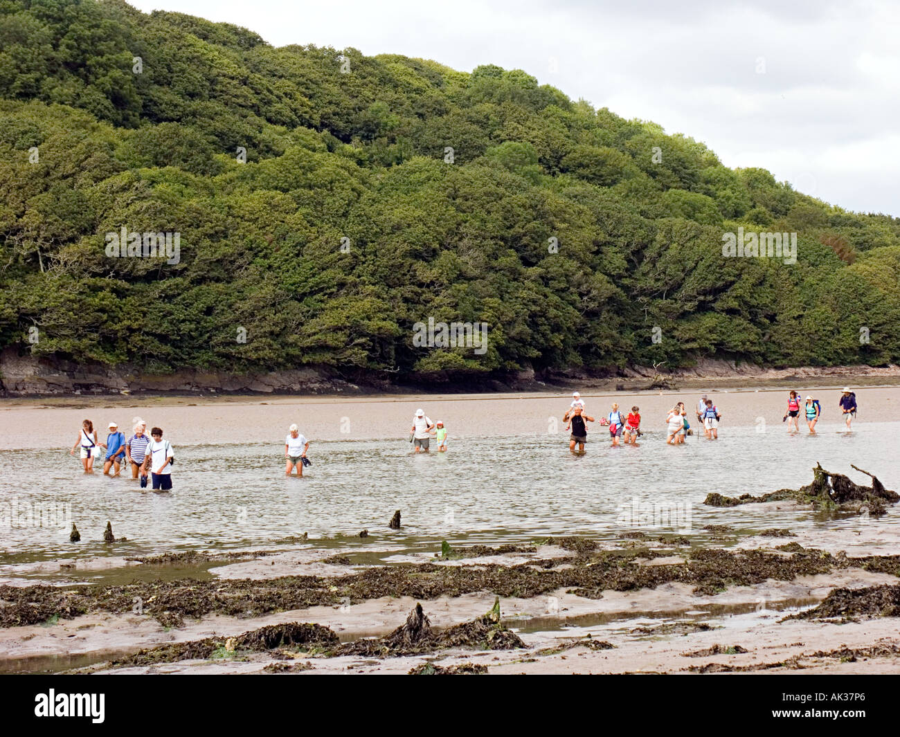 Wading across ford uk hi-res stock photography and images - Alamy