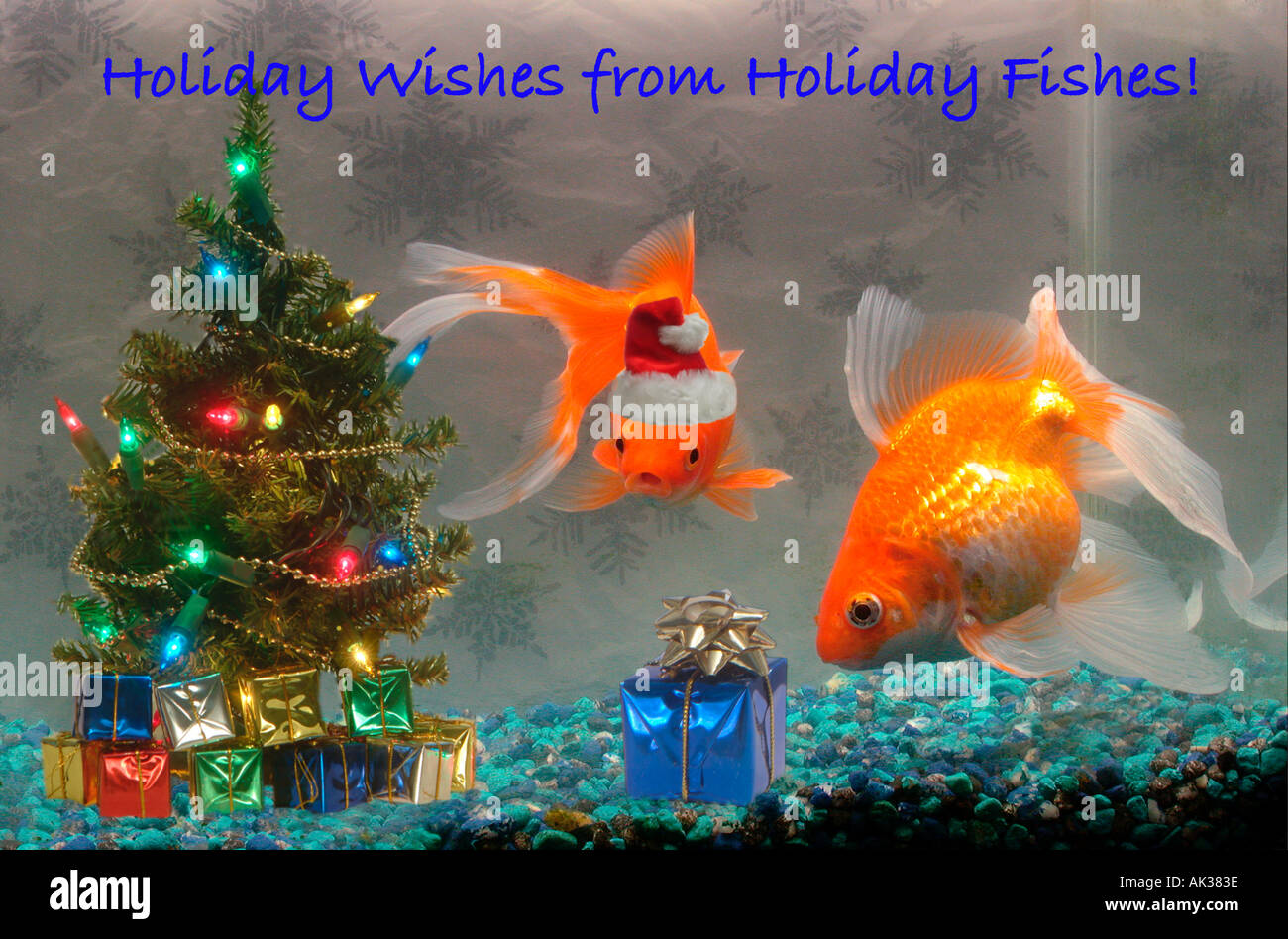 holiday wishes from holiday fishes captioned Stock Photo - Alamy