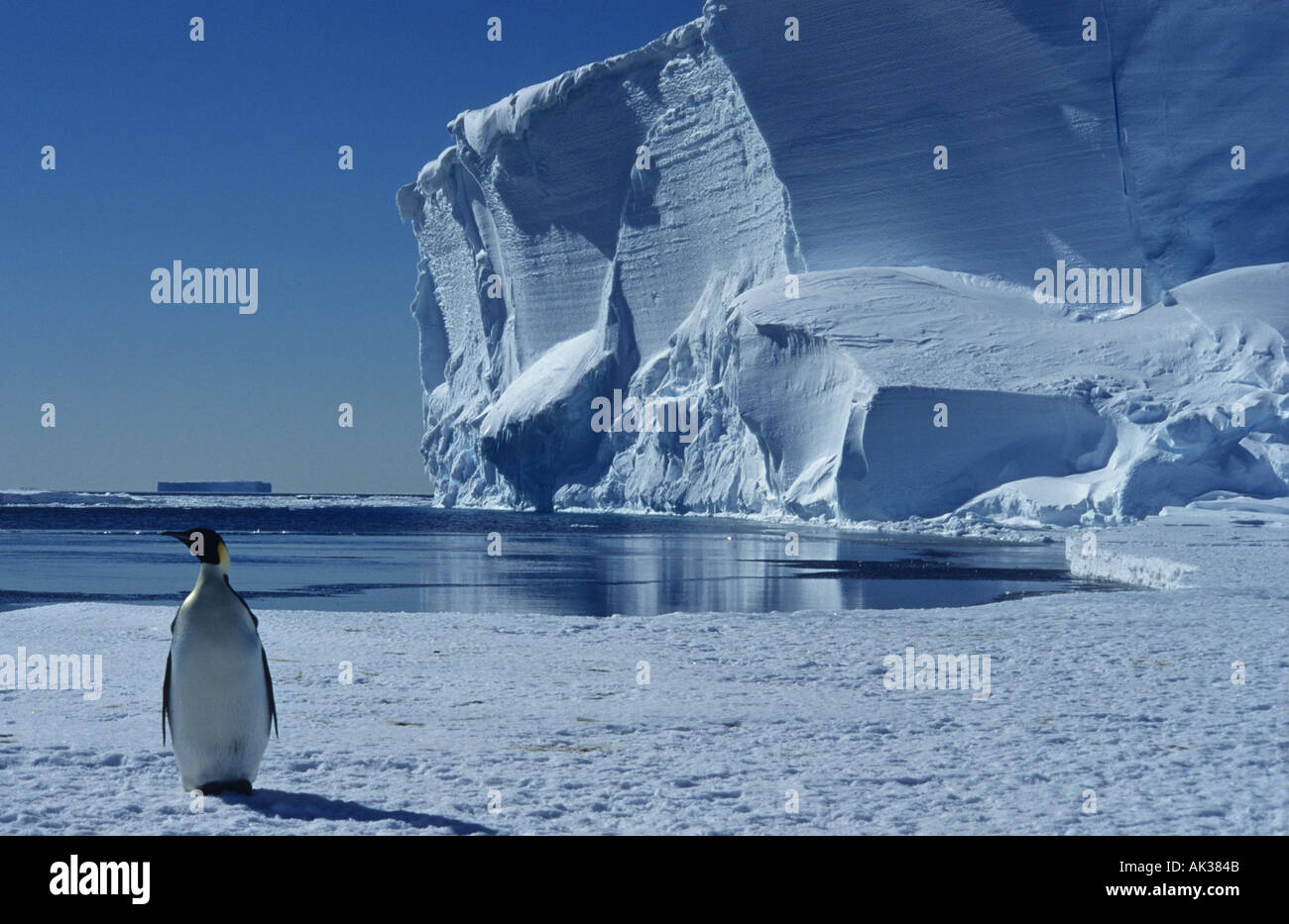 Coats Land Antarctica High Resolution Stock Photography and Images - Alamy