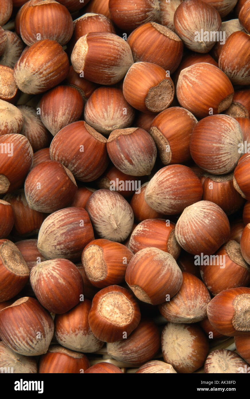 Piemonte hazelnuts hi-res stock photography and images - Alamy