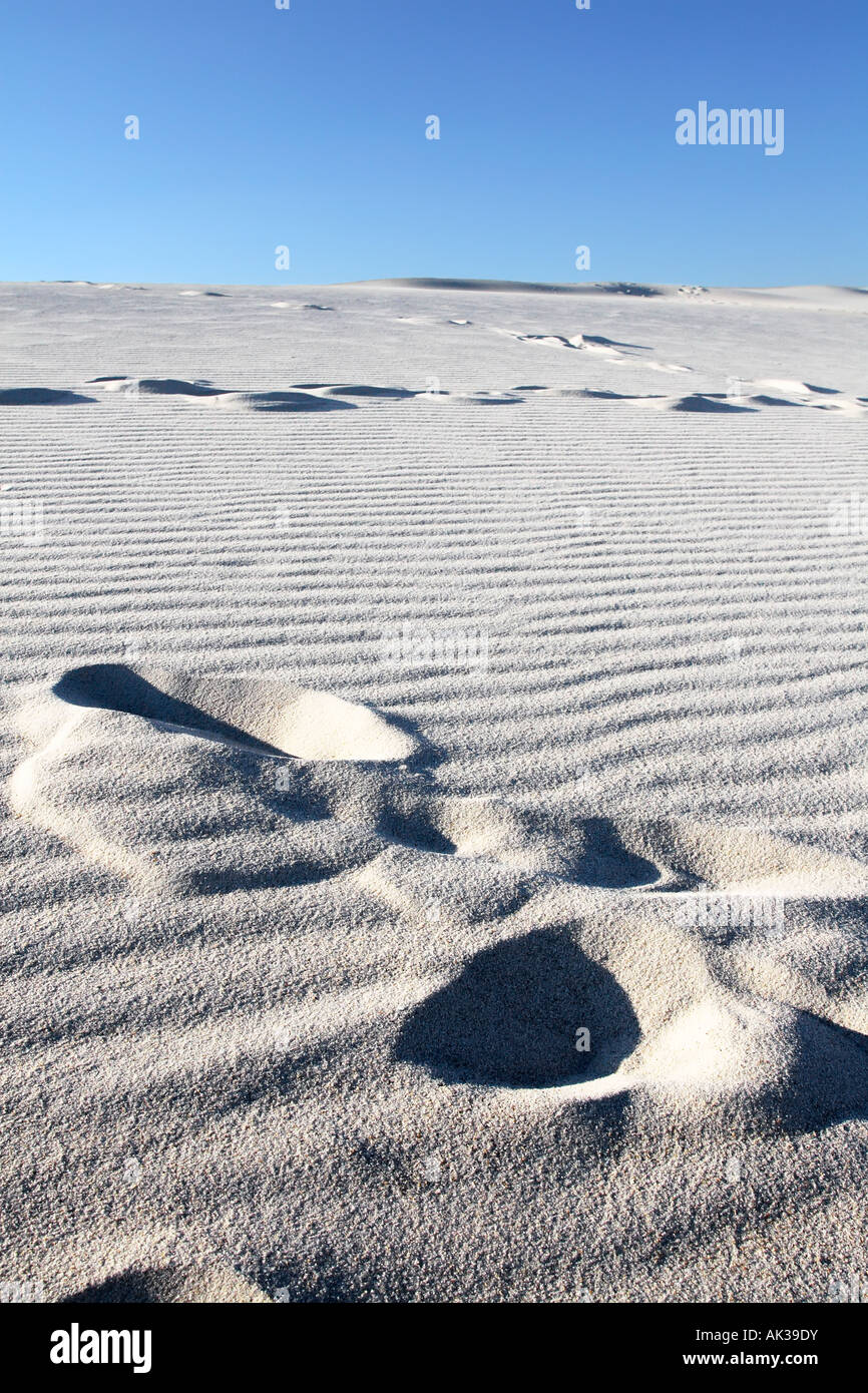 white sand on beach with footprints, Assateague Island National ...