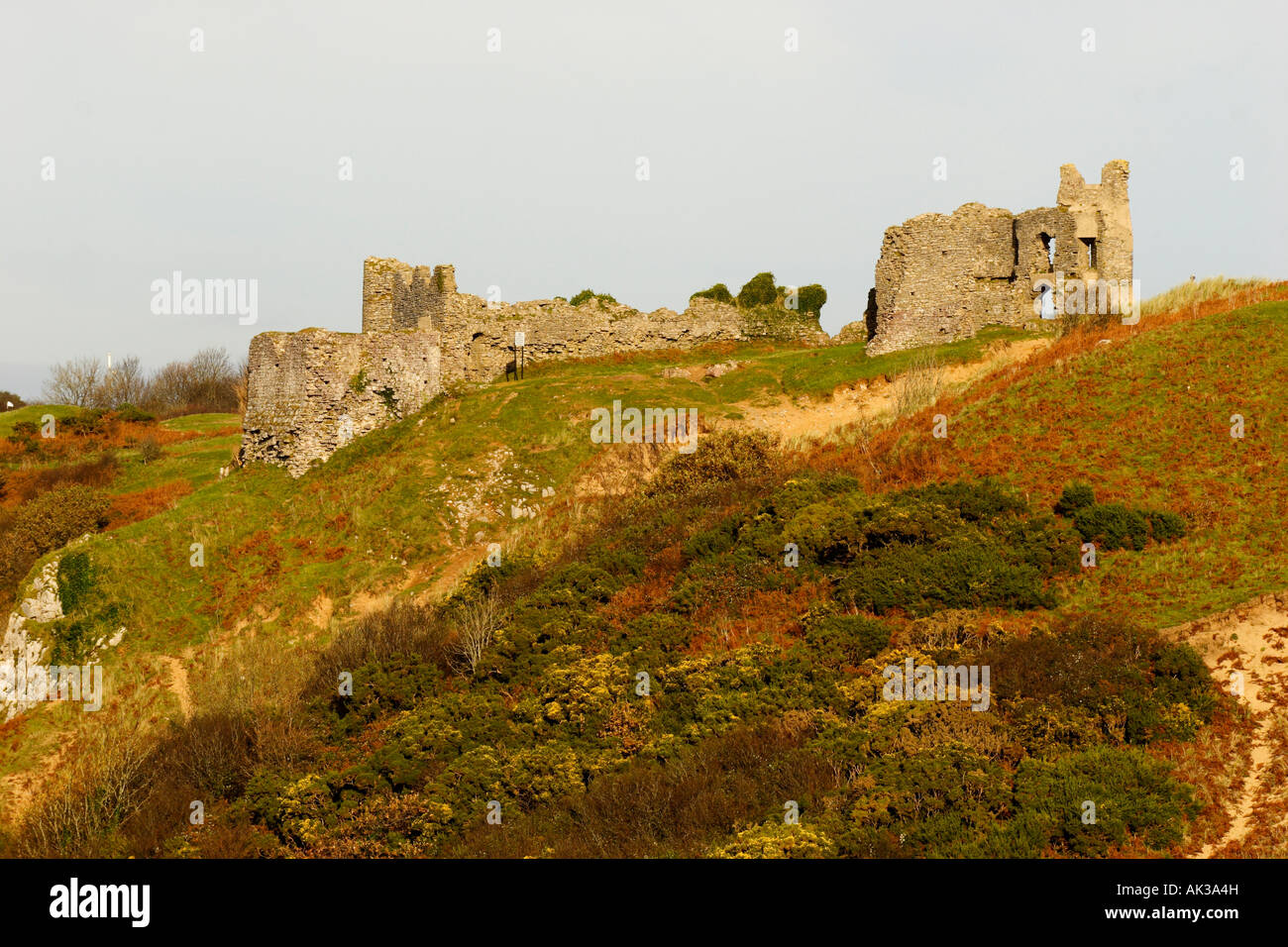 Castle ruins gower peninsula wales hi-res stock photography and images ...