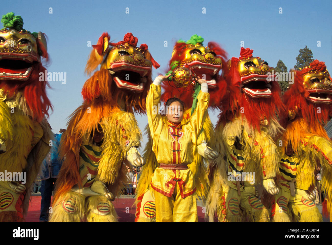 Lion dance performance celebrating Chinese New Year Beijing China Stock ...
