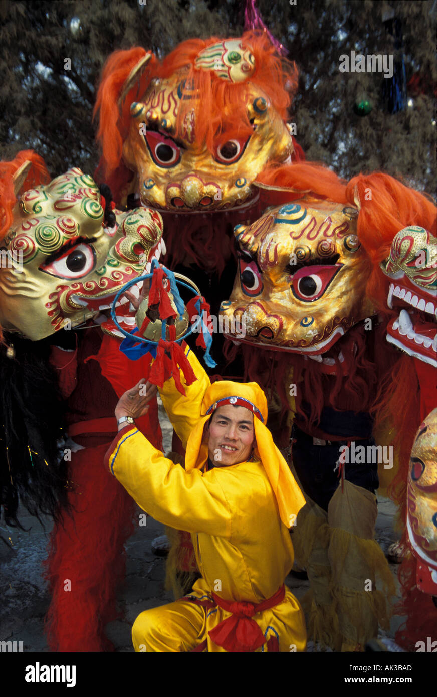 Lion dance performance celebrating Chinese New Year Beijing China Stock ...