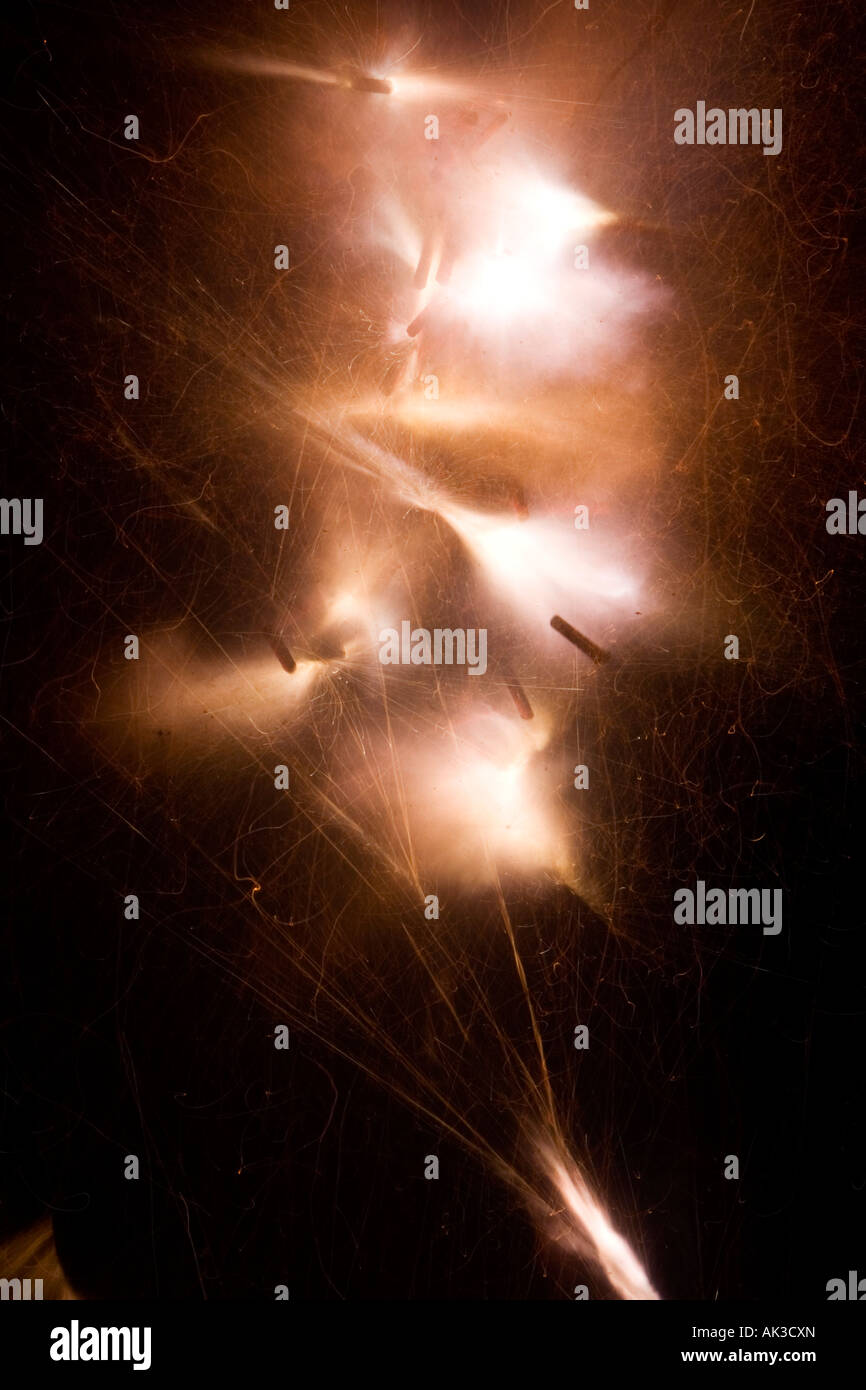 Line of exploding firecrackers at night in India during Diwali festival ...