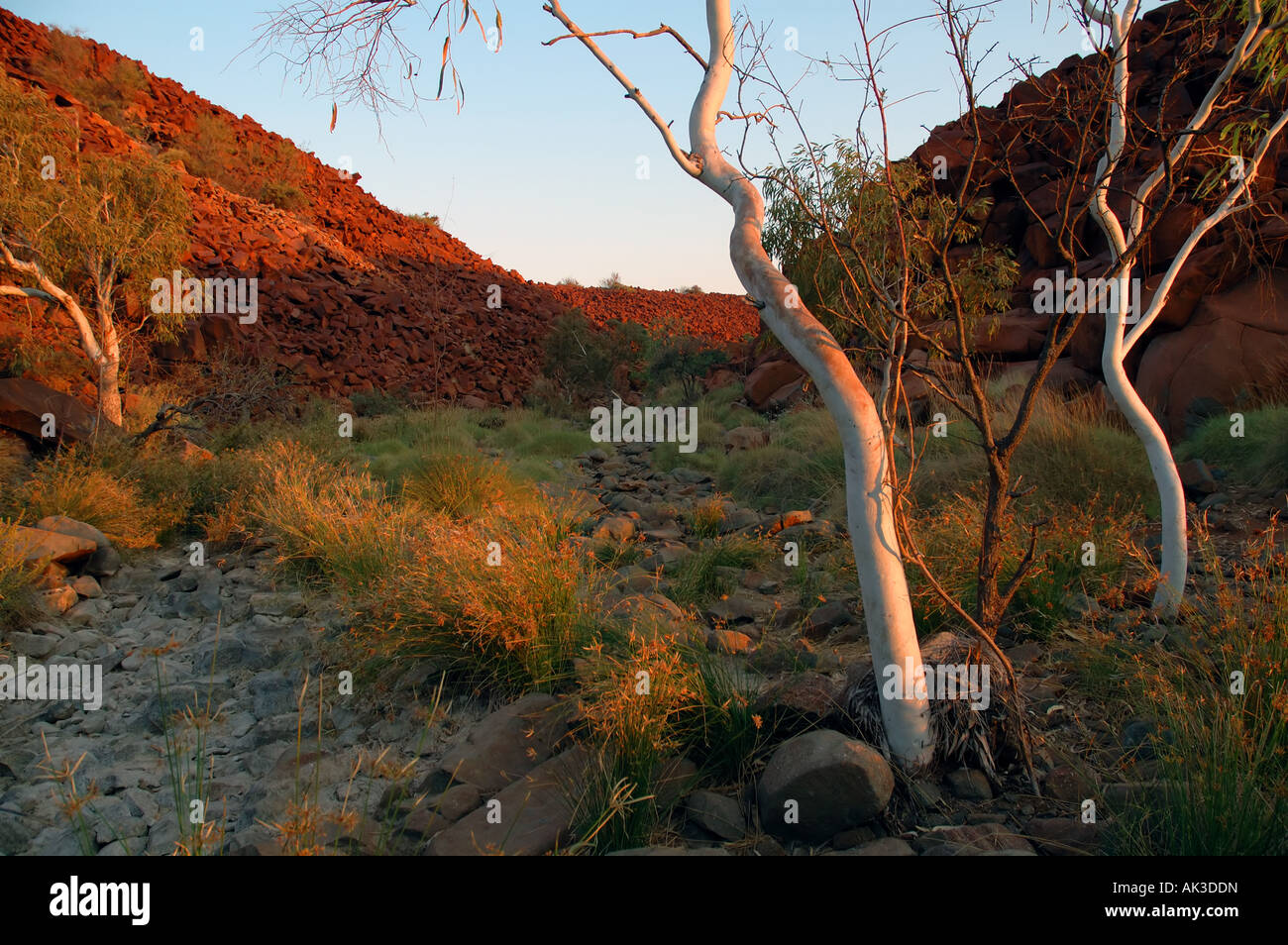 Deep Gorge, an ancient aboriginal rock art site on the Burrup Peninsula ...