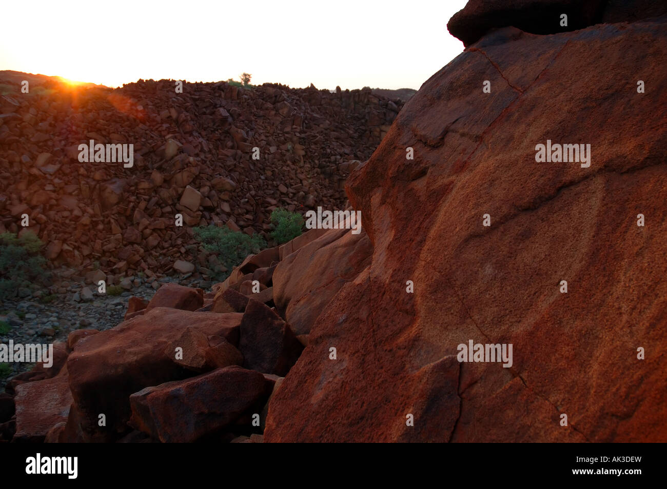 Turtle figure etched in stone. Sunset at the ancient aboriginal rock ...