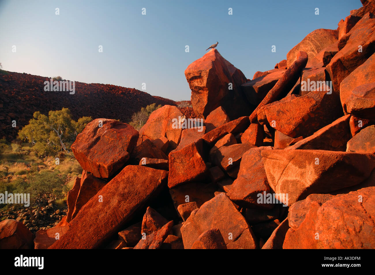 Kangaroo etched in stone. Ancient aboriginal rock art site at Deep ...