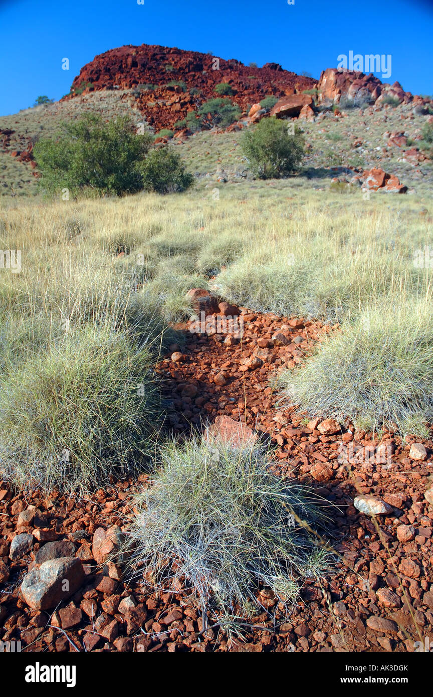 Spinifex and red earth of the Burrup Peninsula, Western Australia Stock ...