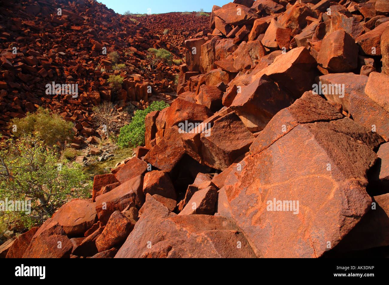 Animals etched in stone. Ancient aboriginal rock art site of Deep Gorge ...