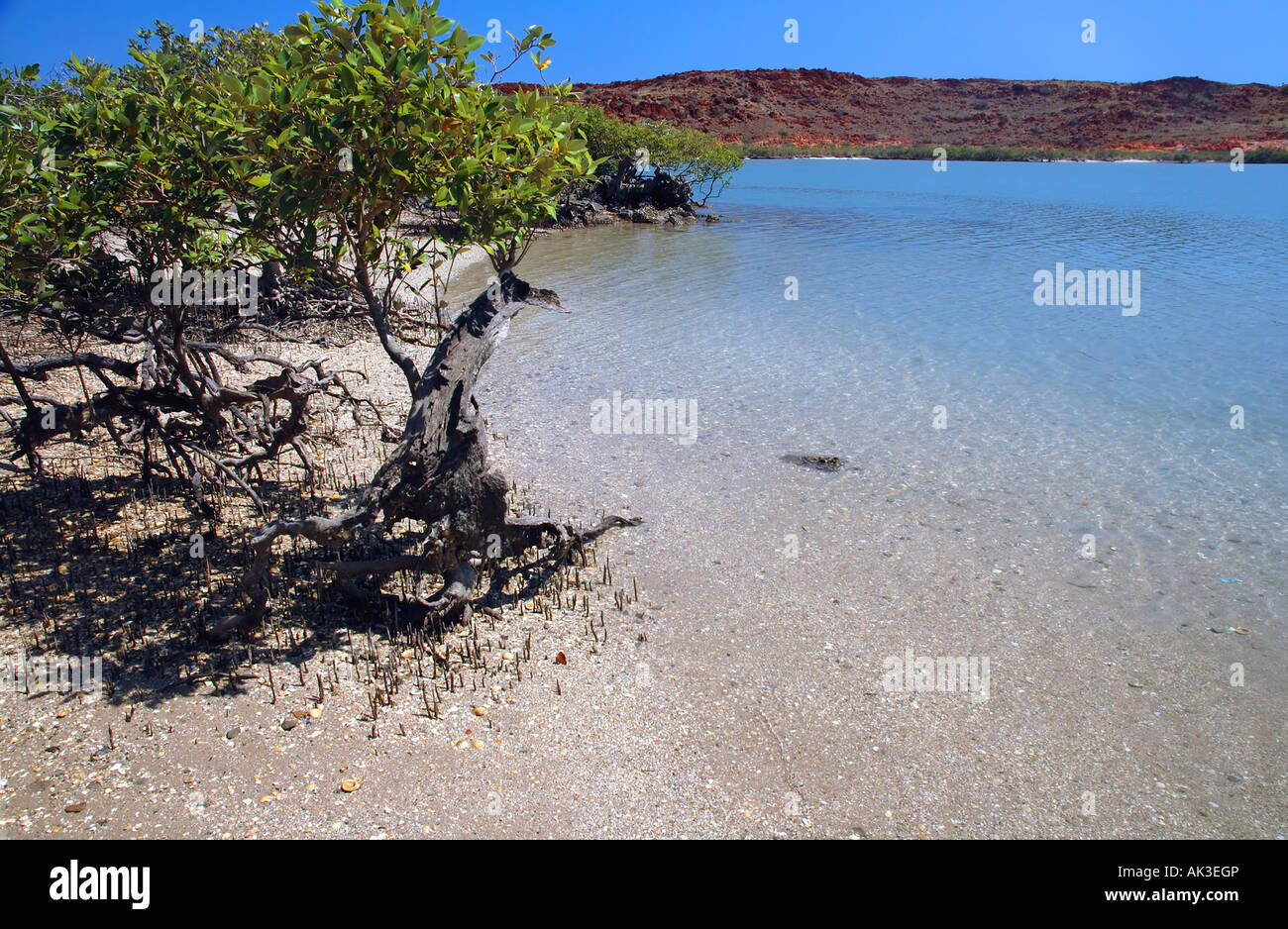 Cowrie Cove, Burrup Peninsula, Dampier Archipelago Marine Park, Western ...