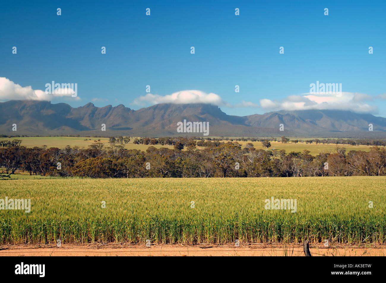 Stirling Range viewed across fields and paddocks Western Australia ...