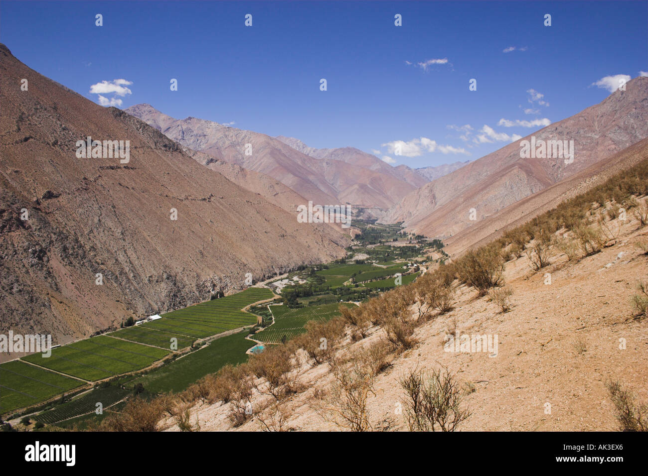 Valley of Pisco Elqui Stock Photo - Alamy