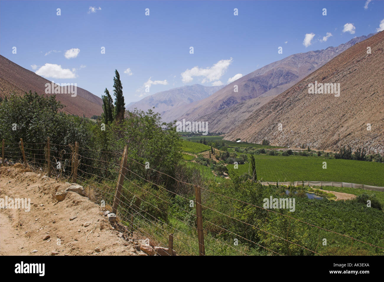 Valley of Pisco Elqui Stock Photo - Alamy