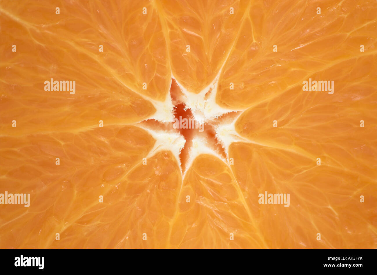 Orange Cross Section extreme close up Stock Photo - Alamy