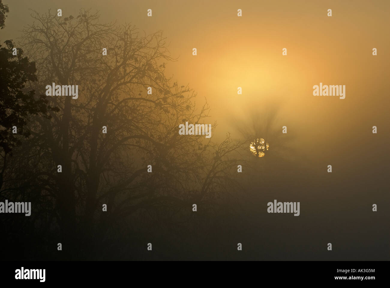 First sunrise hi-res stock photography and images - Alamy