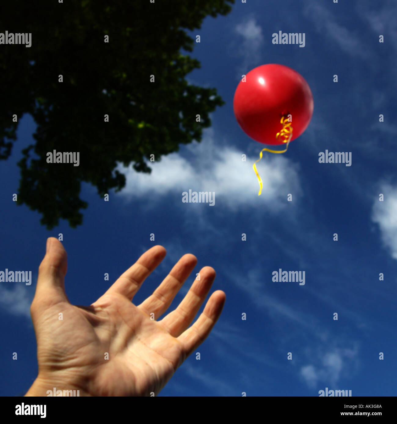 Let Go Balloon Stock Photos & Let Go Balloon Stock Images - Alamy