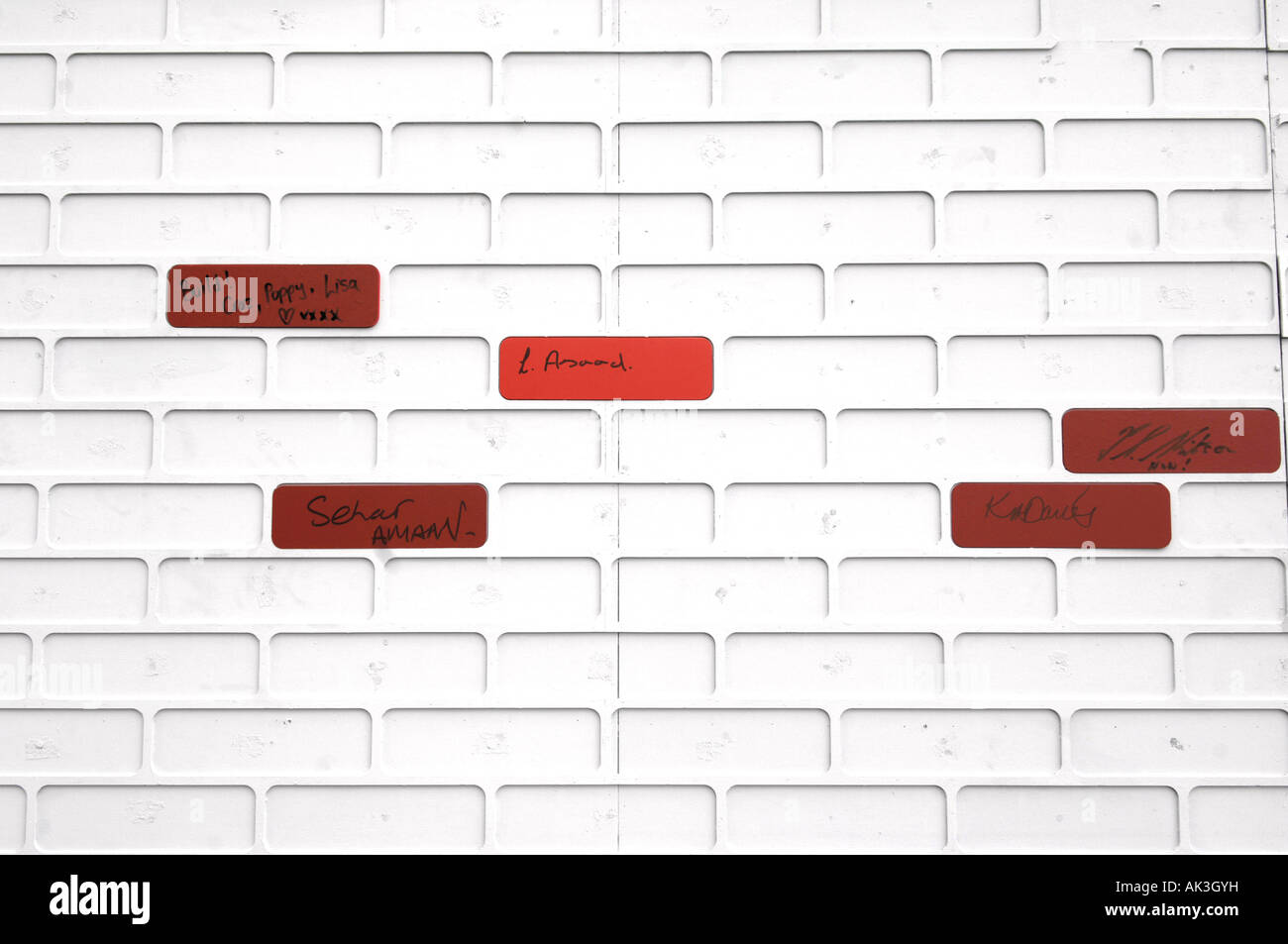 shelter campaign housing bricks names wall petition albert square ...